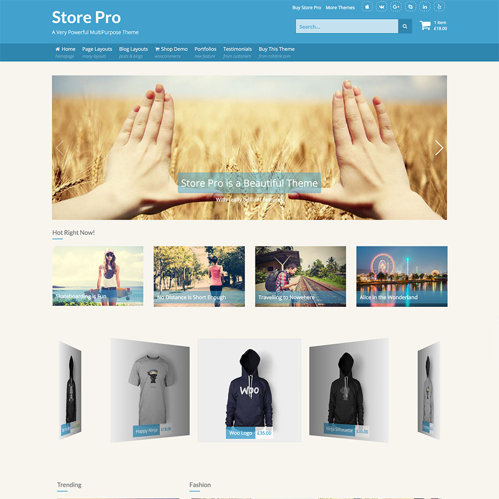 Store Pro - Premium WordPress Theme for eCommerce Websites