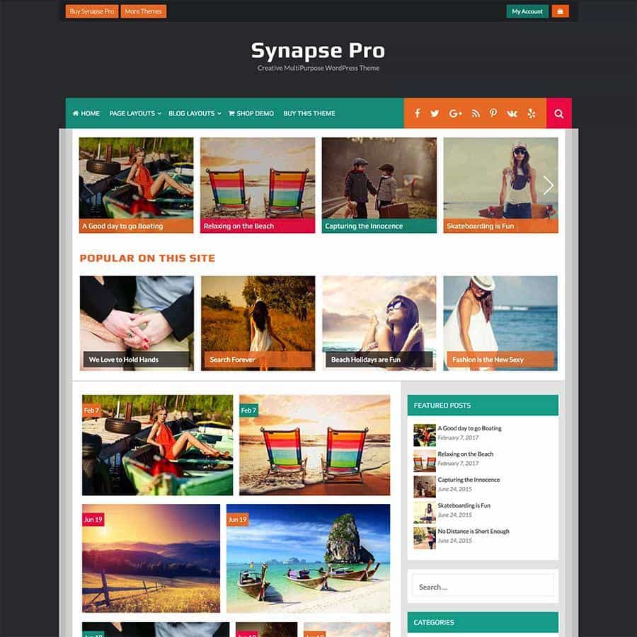 Synapse Pro - Premium Magazine MultiColor WordPress Theme